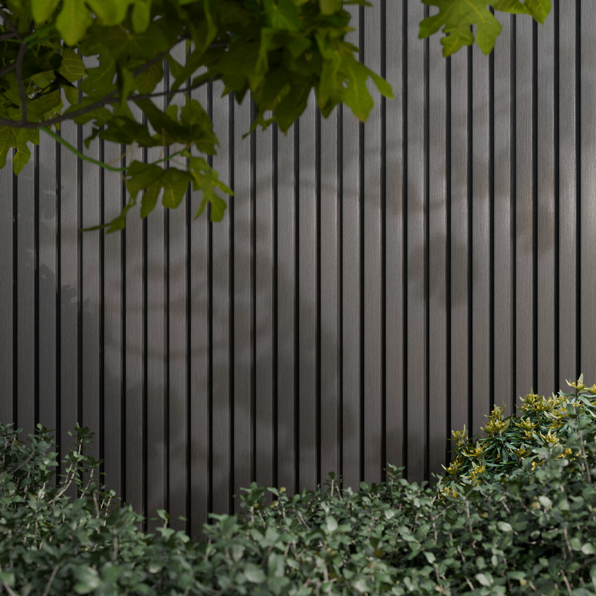 Australian Eco Timber Cladding – Space Haven